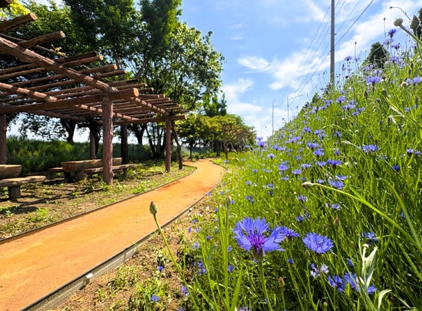 상주시, 전국 최초 ‘정원형 어싱길’ 힐링명소로 뜬다